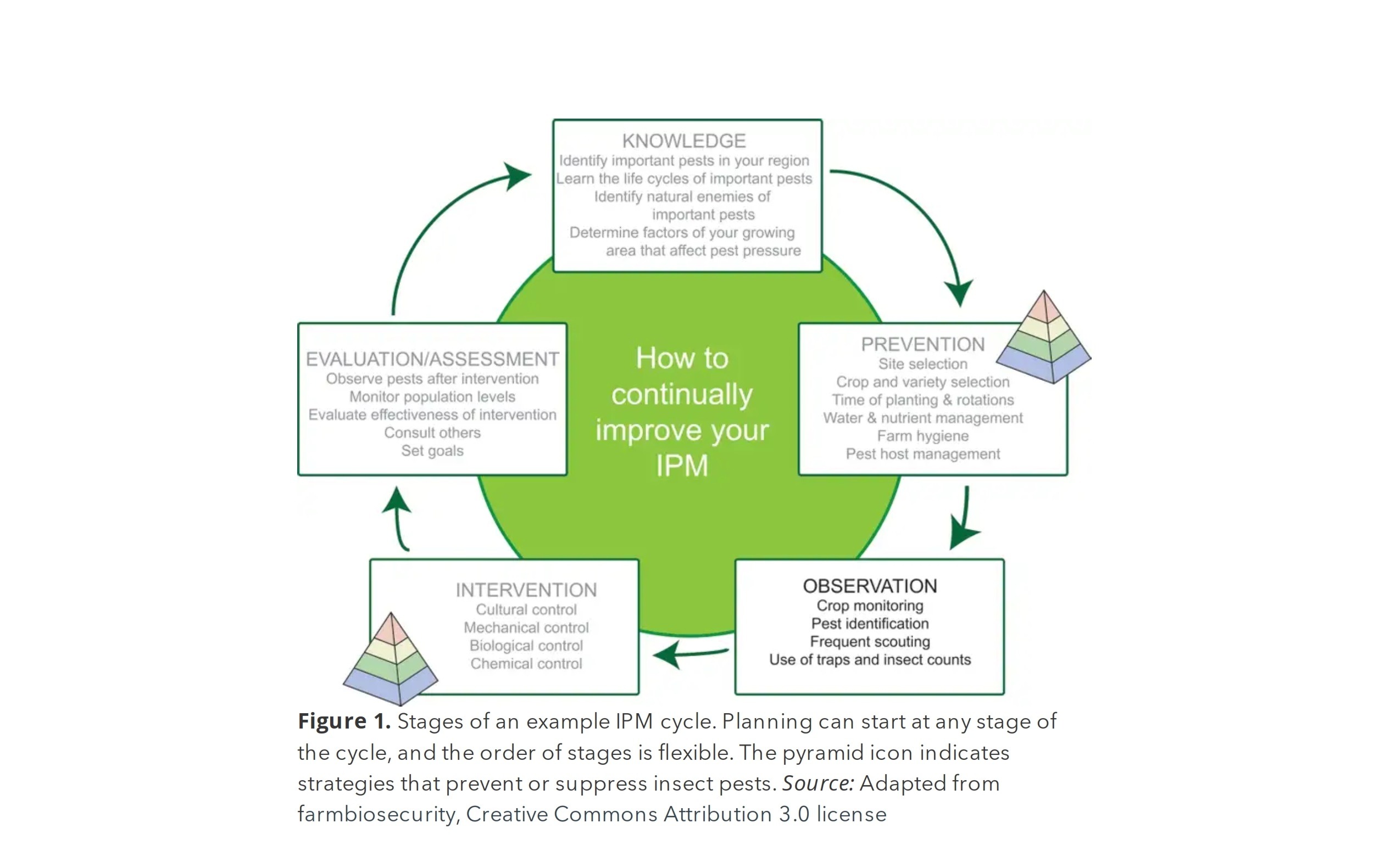 Insect Pest Management - ALiSEA .:. Agro-ecology Learning alliance in ...