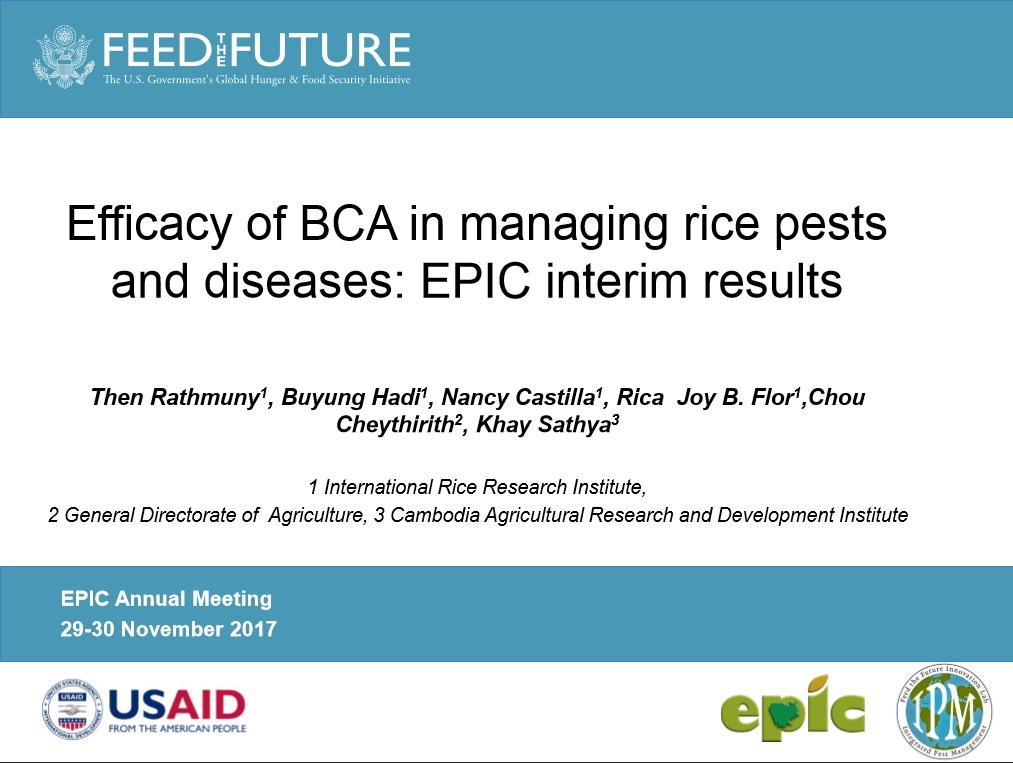 Efficacy of BCA in managing rice pests and diseases: EPIC interim ...